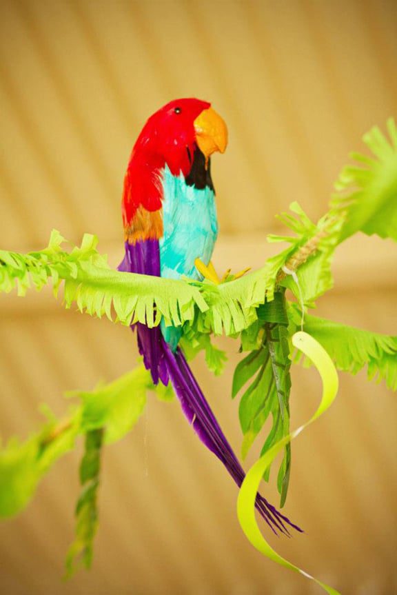 Monkey Party - Pretty My Party