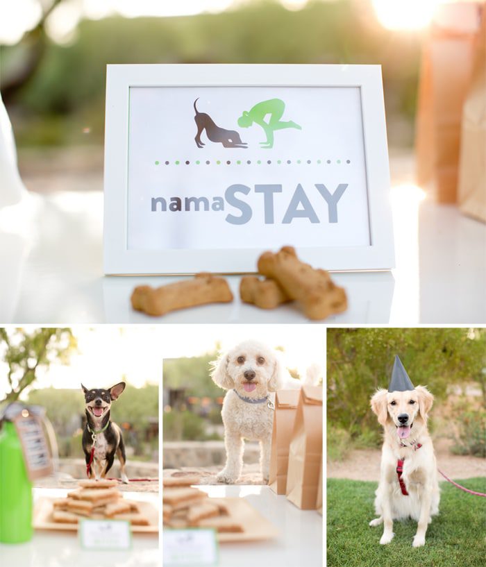 Finn's Bark-day! - Pretty My Party