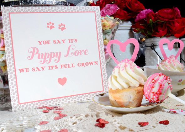 Paw-fect Puppy Love Valentine's Day Party - Pretty My Party