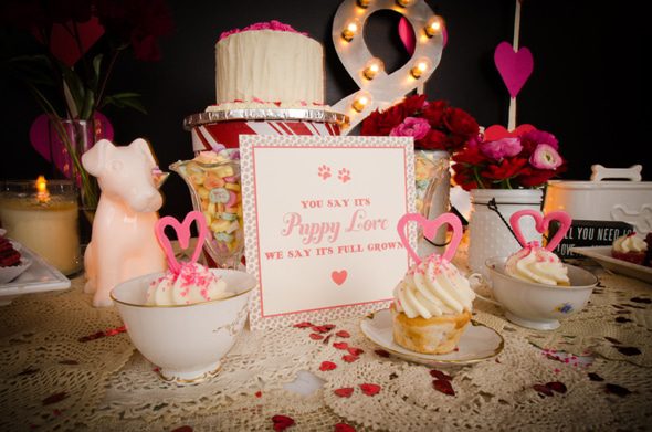 Paw-fect Puppy Love Valentine's Day Party - Pretty My Party