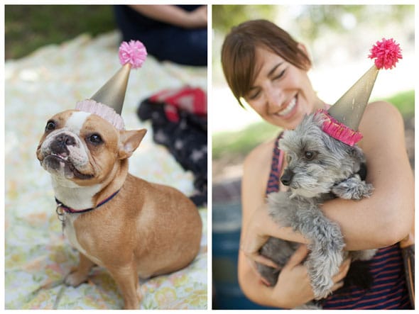 Puppy Party Celebration — Pretty My Party