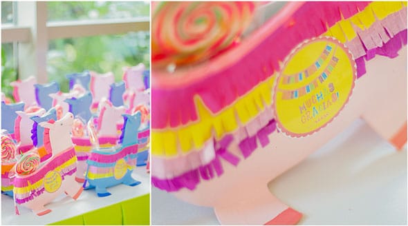 First Fabulous Fantastic Fiesta Birthday Party - Pretty My Party