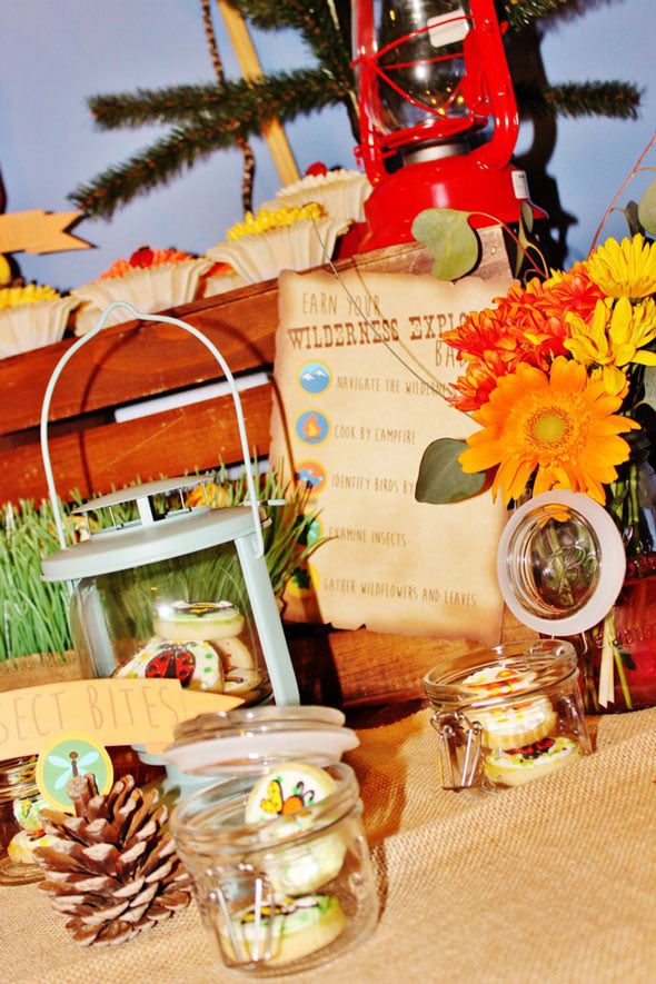 Wilderness Explorer Themed Birthday Bash