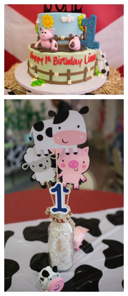 Farm Themed First Birthday Party - Pretty My Party