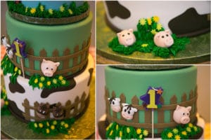 Farmyard Ranch First Birthday Party