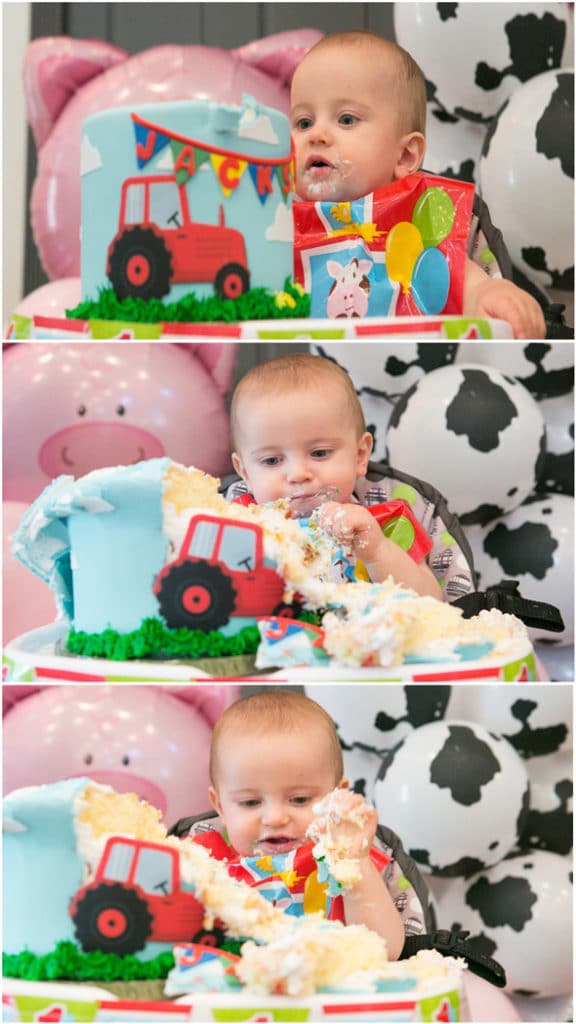 Farmyard Ranch First Birthday Party