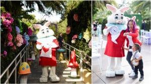 Modern Alice in Wonderland First Birthday Party