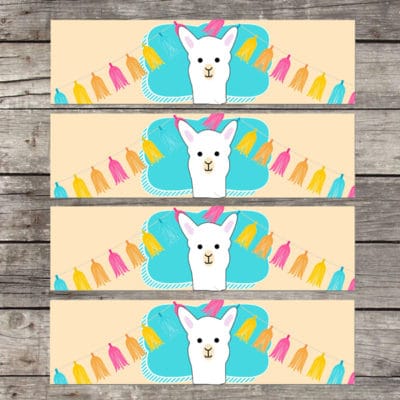 17 Fun Llama Party Ideas - Pretty My Party