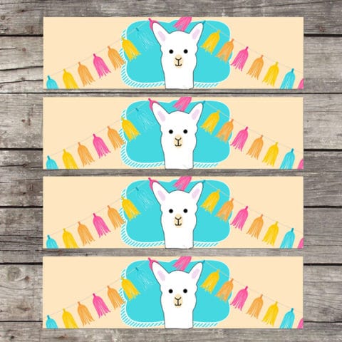 17 Fun Llama Party Ideas - Pretty My Party