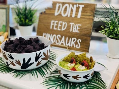 Party Like A Dinosaur Theme - Pretty My Party