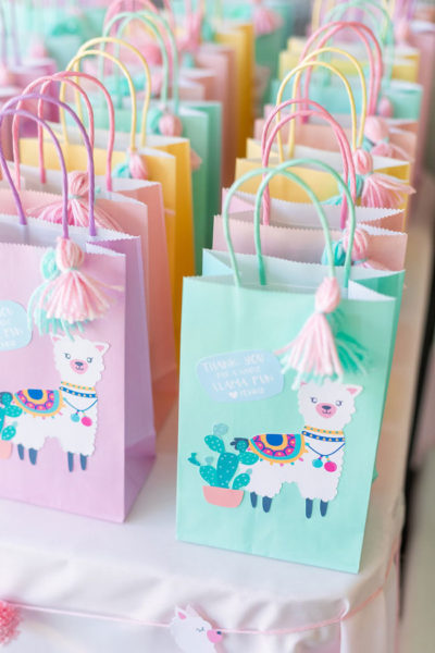 Llama Themed 1st Birthday Party - Pretty My Party